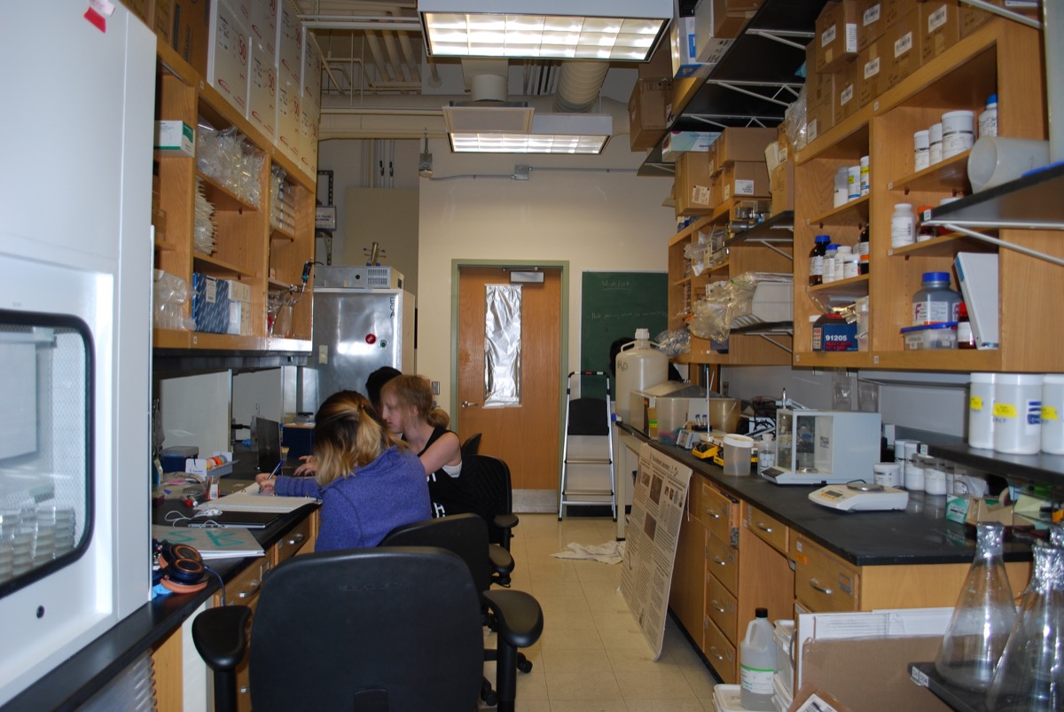 Andersen Lab | Our Lab