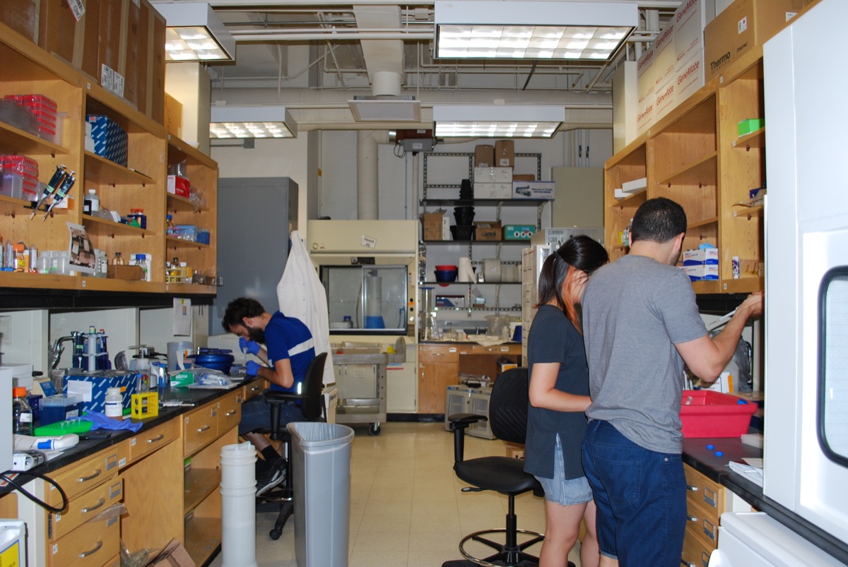 Andersen Lab | Our Lab
