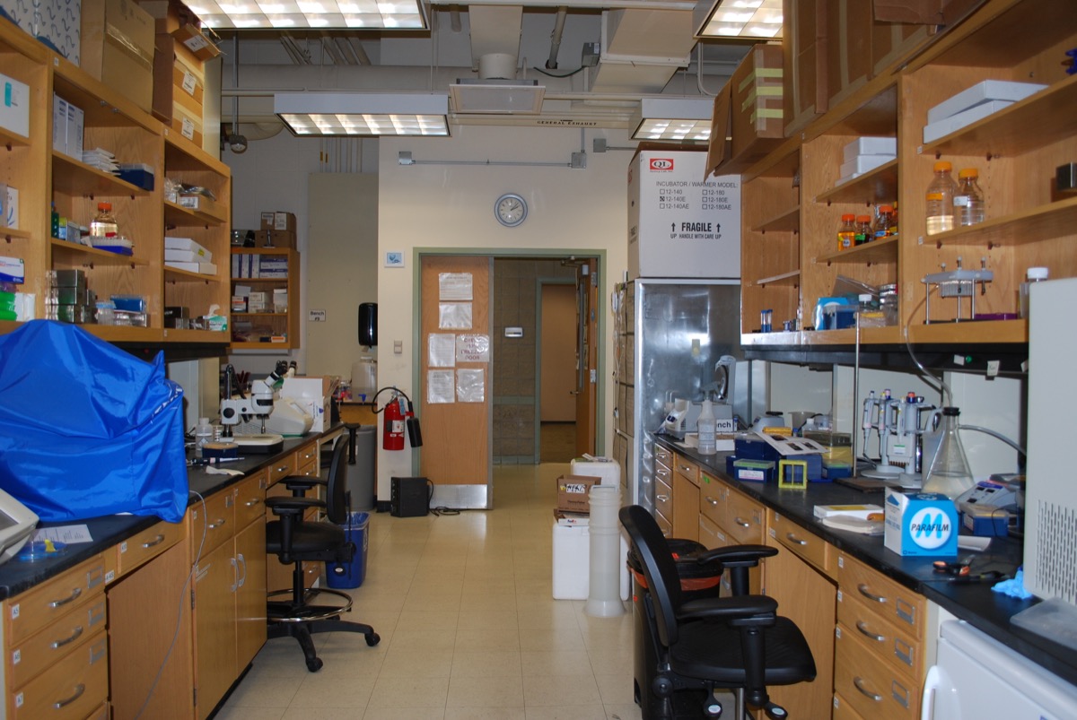 Andersen Lab | Our Lab