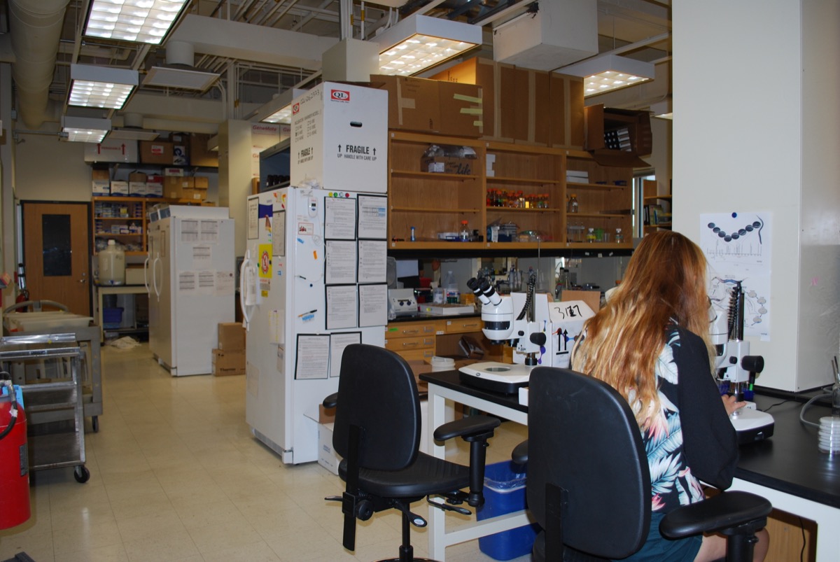 Andersen Lab | Our Lab