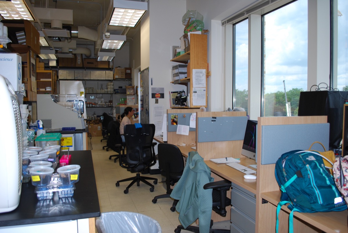 Andersen Lab | Our Lab