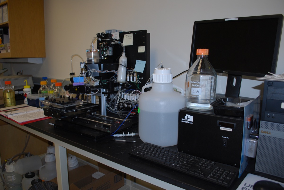 Andersen Lab | Our Lab