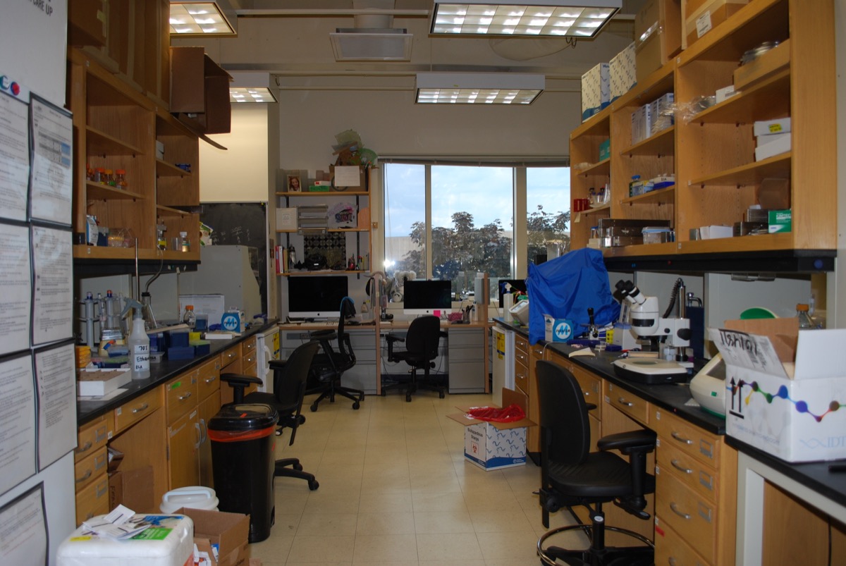 Andersen Lab | Our Lab