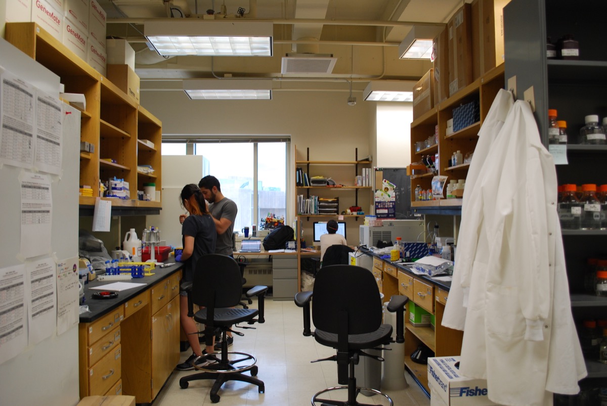 Andersen Lab | Our Lab