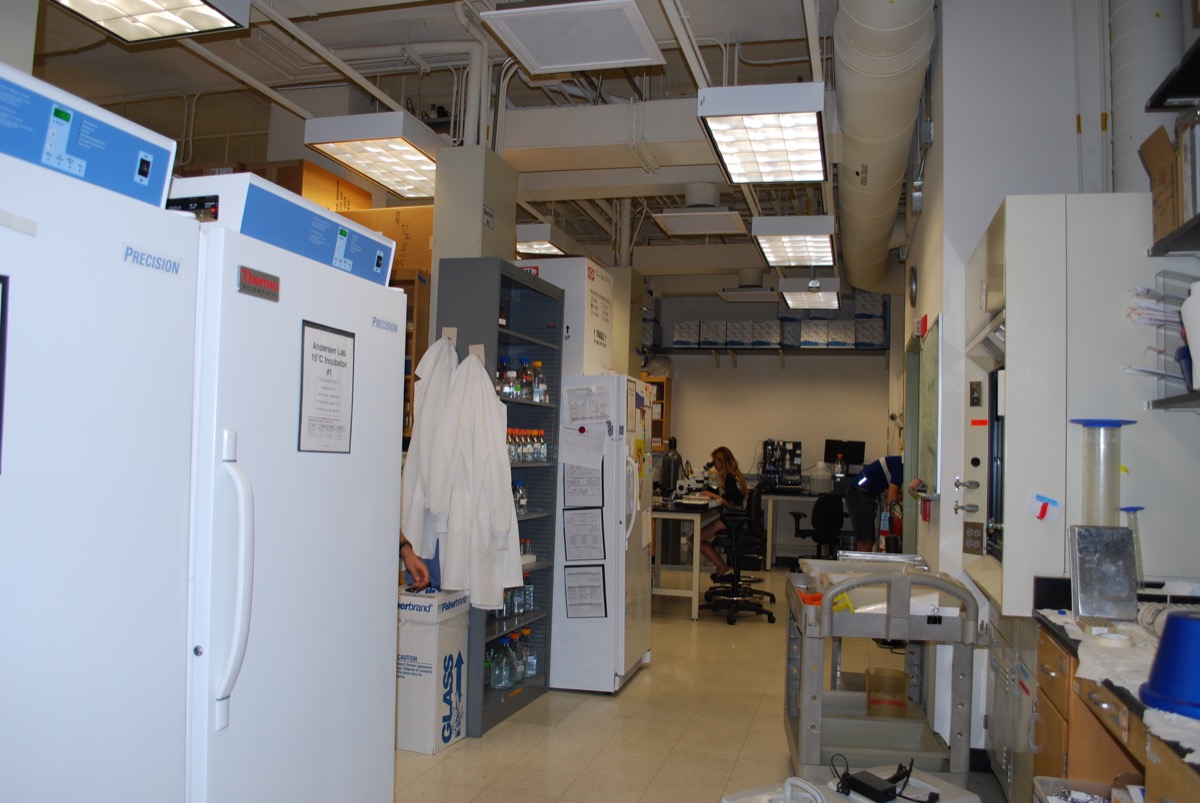 Andersen Lab | Our Lab