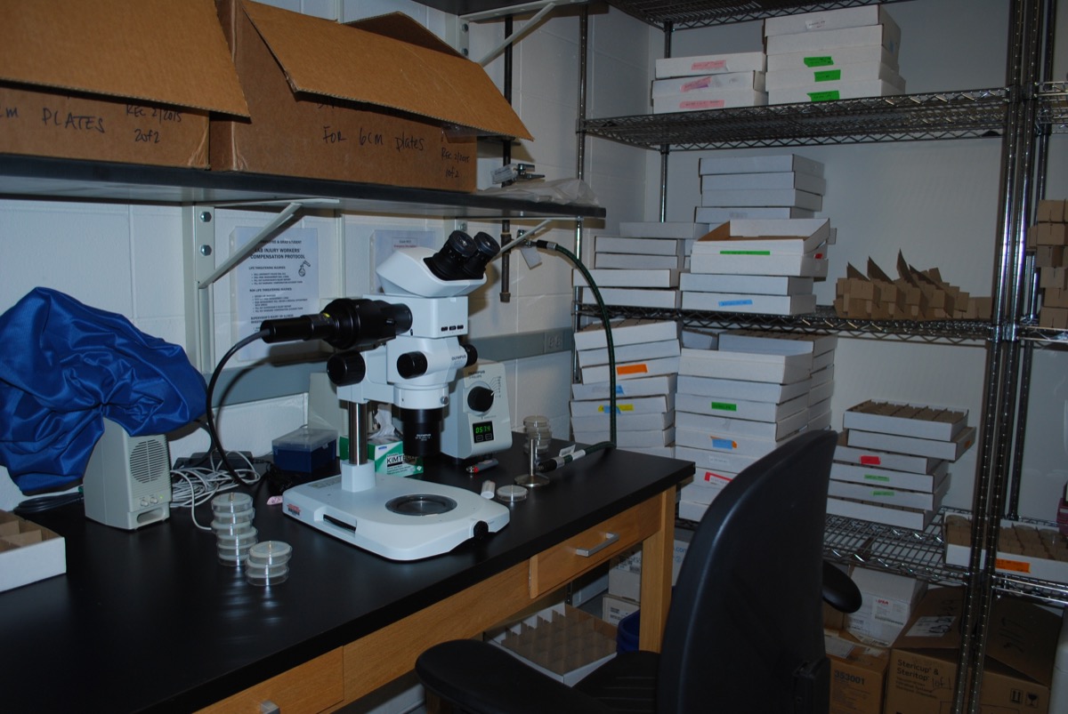 Andersen Lab | Our Lab