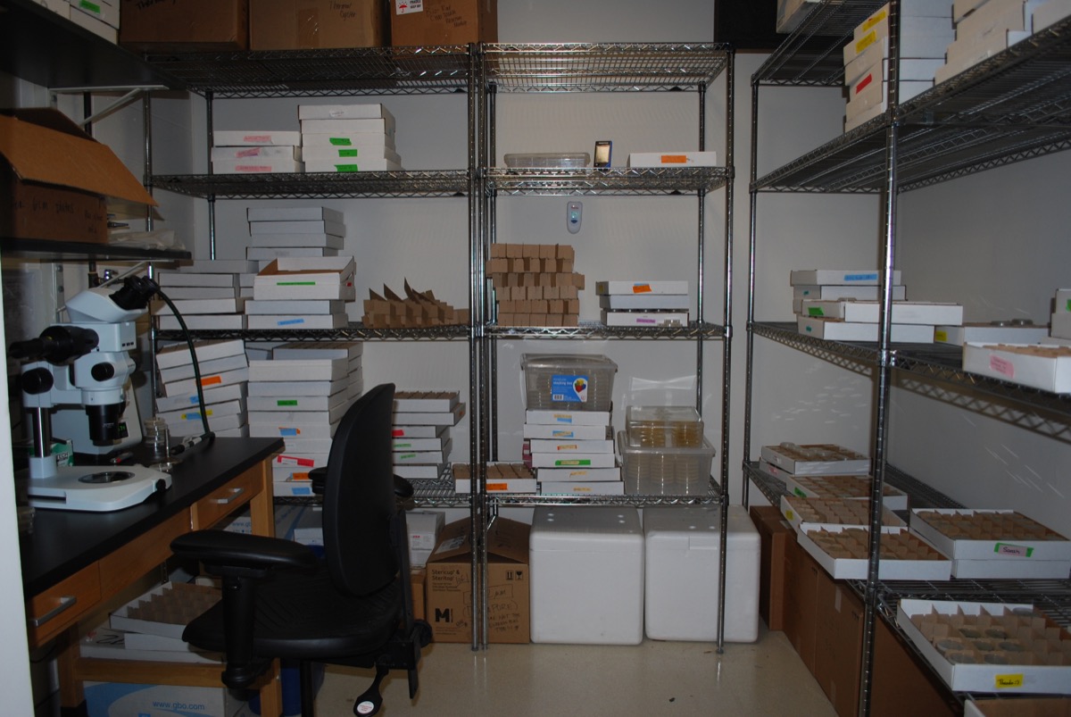 Andersen Lab | Our Lab