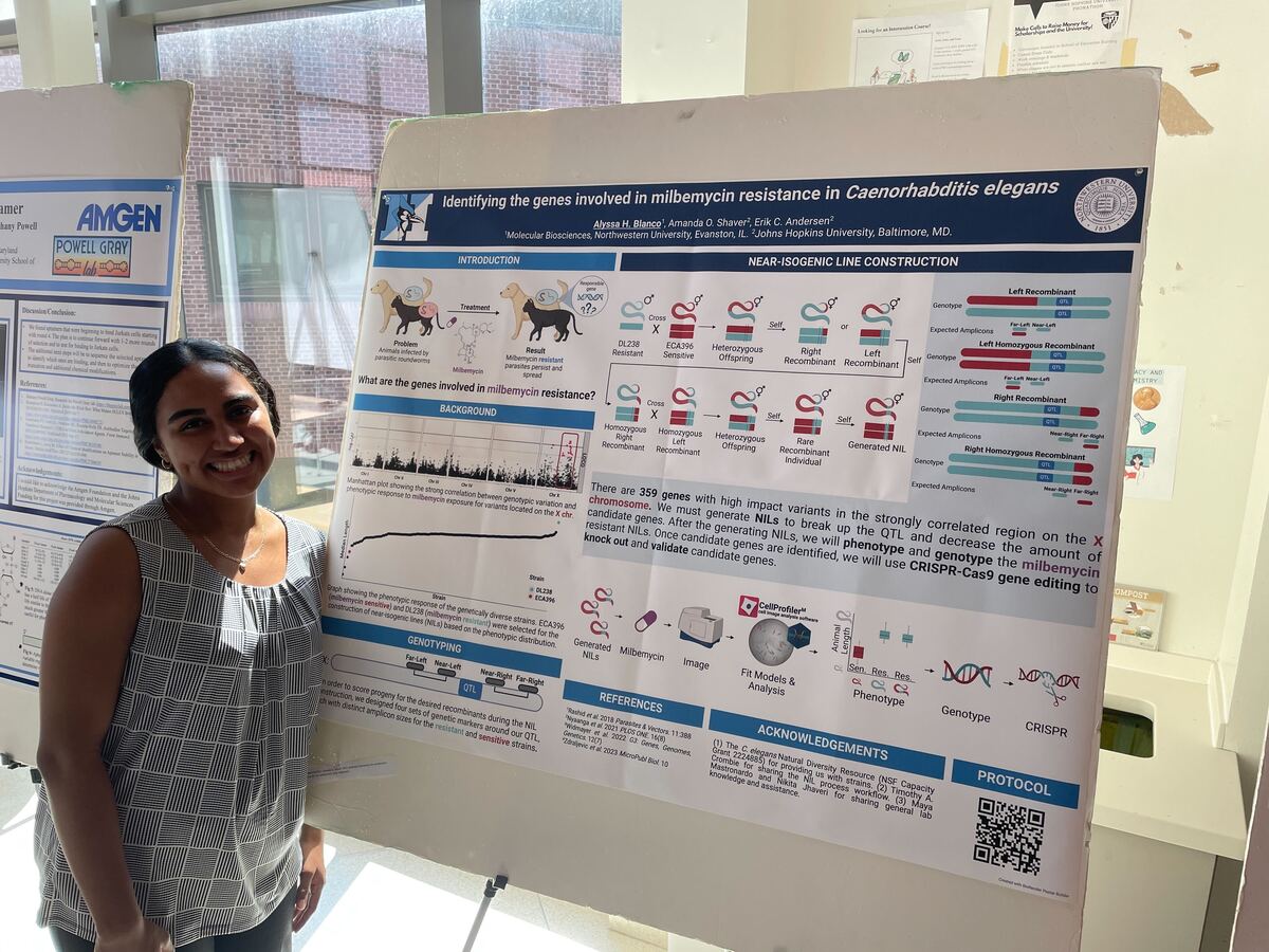 Andersen Lab | Reu poster session 2024
